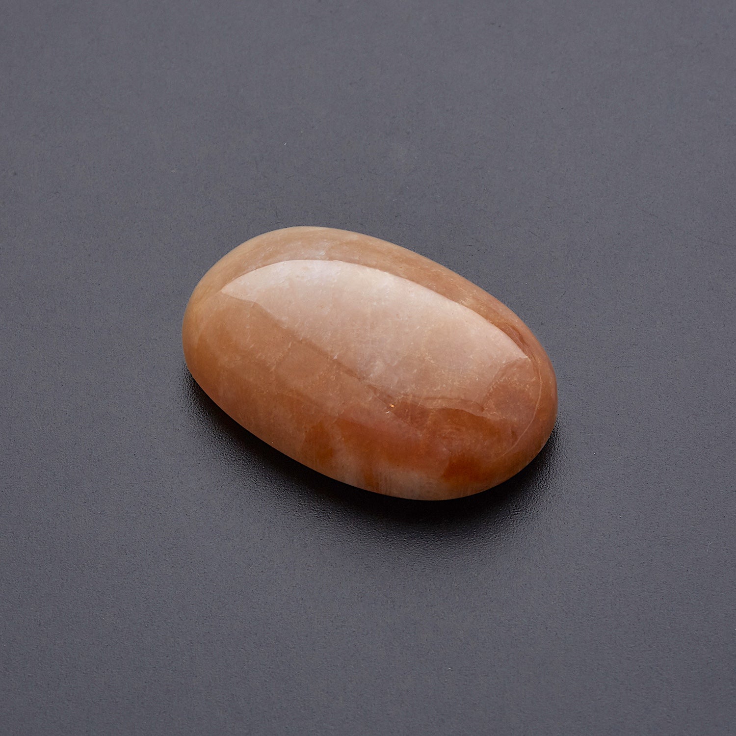 菊花珊瑚石_1651 – URAOTO-to